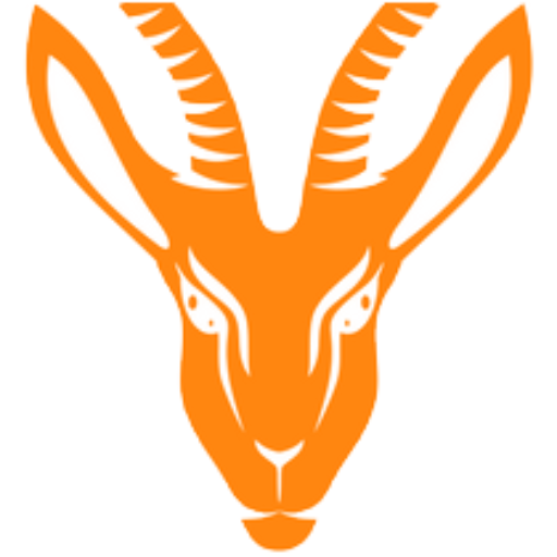 IT Staffing Agency in Dallas & St. Louis - Springbok IT Recruiting